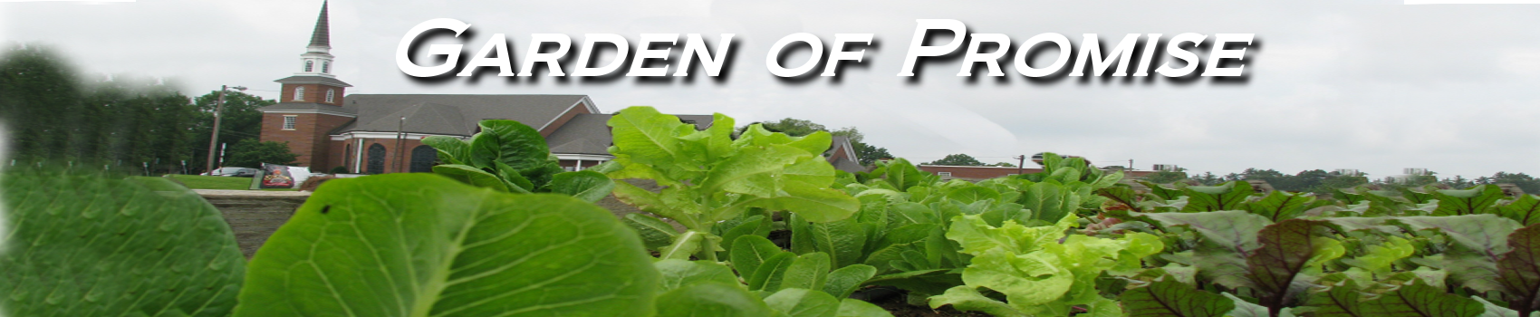 Pat Thomas' Garden of Promise - Main Street UMC, Kernersville, NC